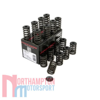 Ford Ecoboost 2.3L Piper Valve Spring & Retainer Kit - NMS